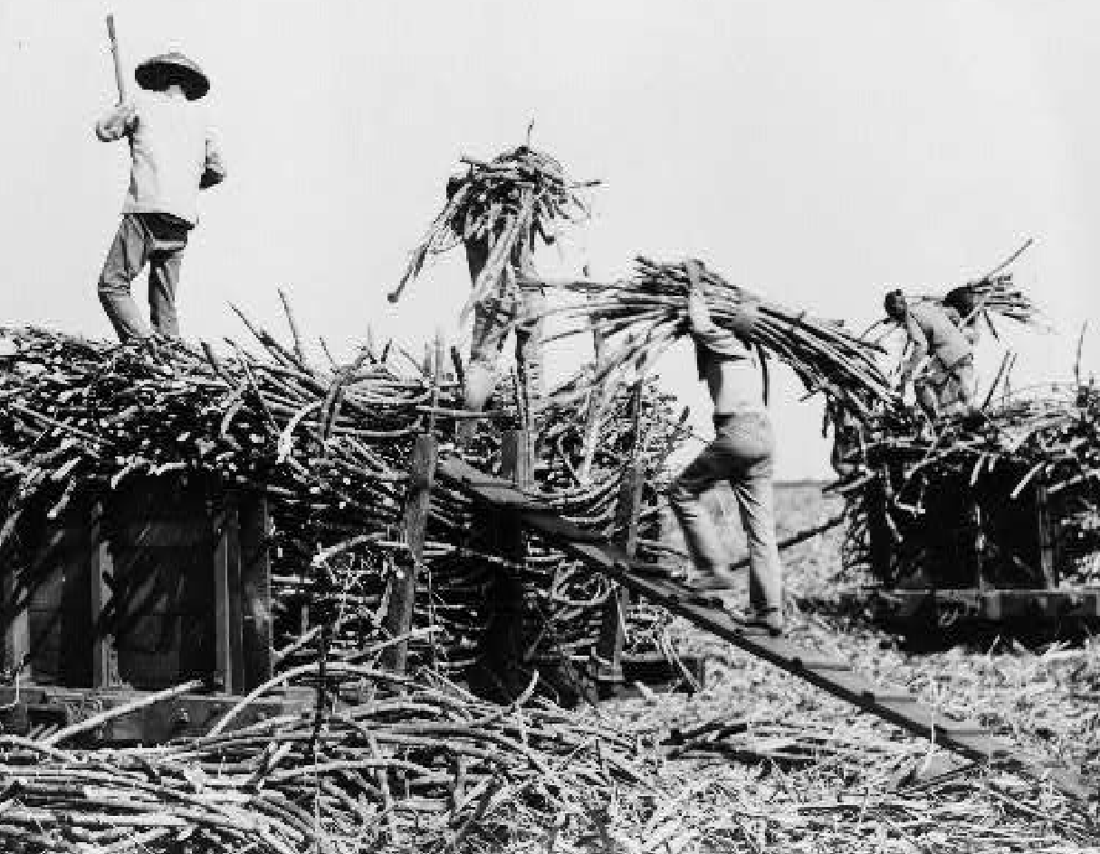 1924 Hanap&p& Massacre, Filipino plantation workers, Hawaiian labor ...